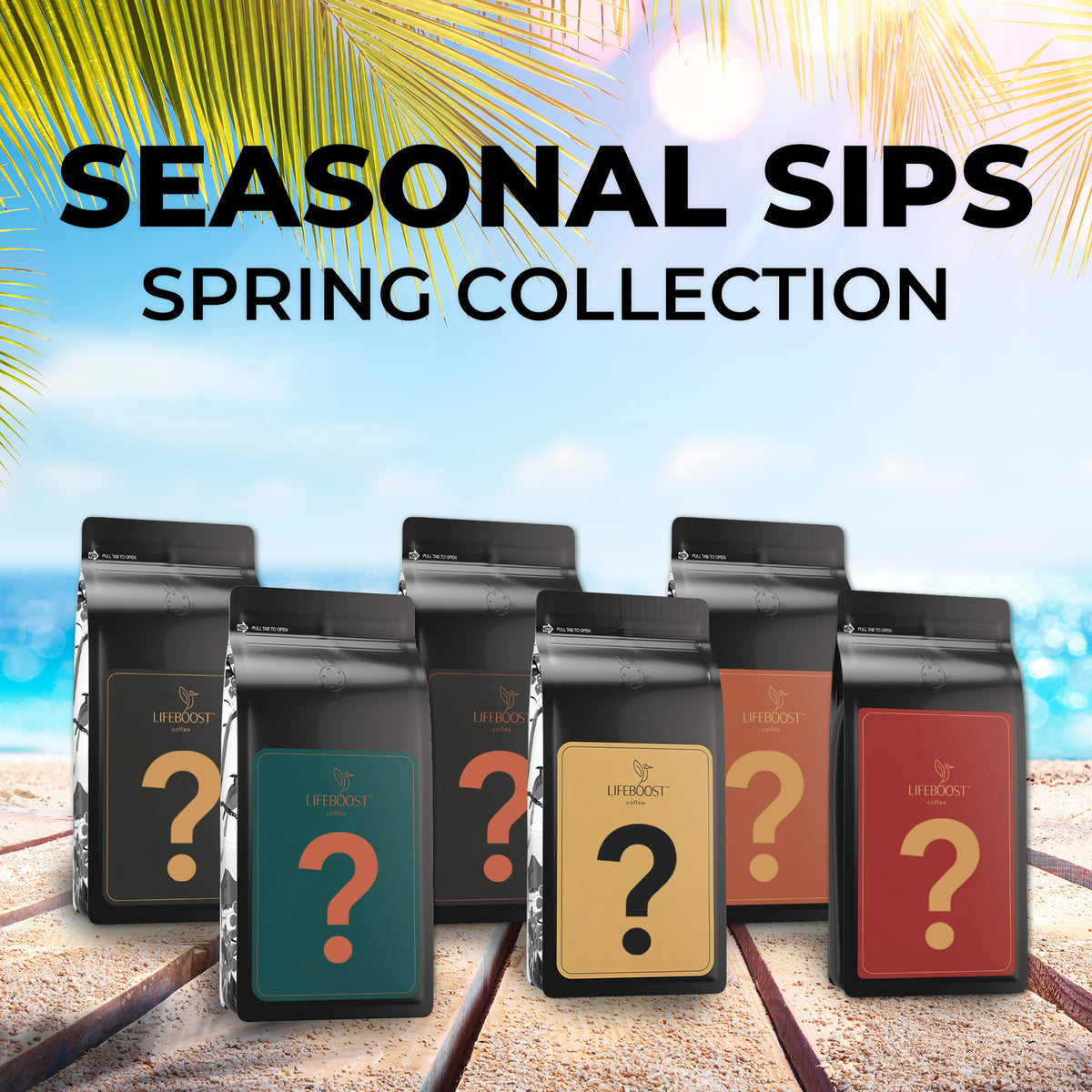 Seasonal Sips Club | Lifeboost Coffee