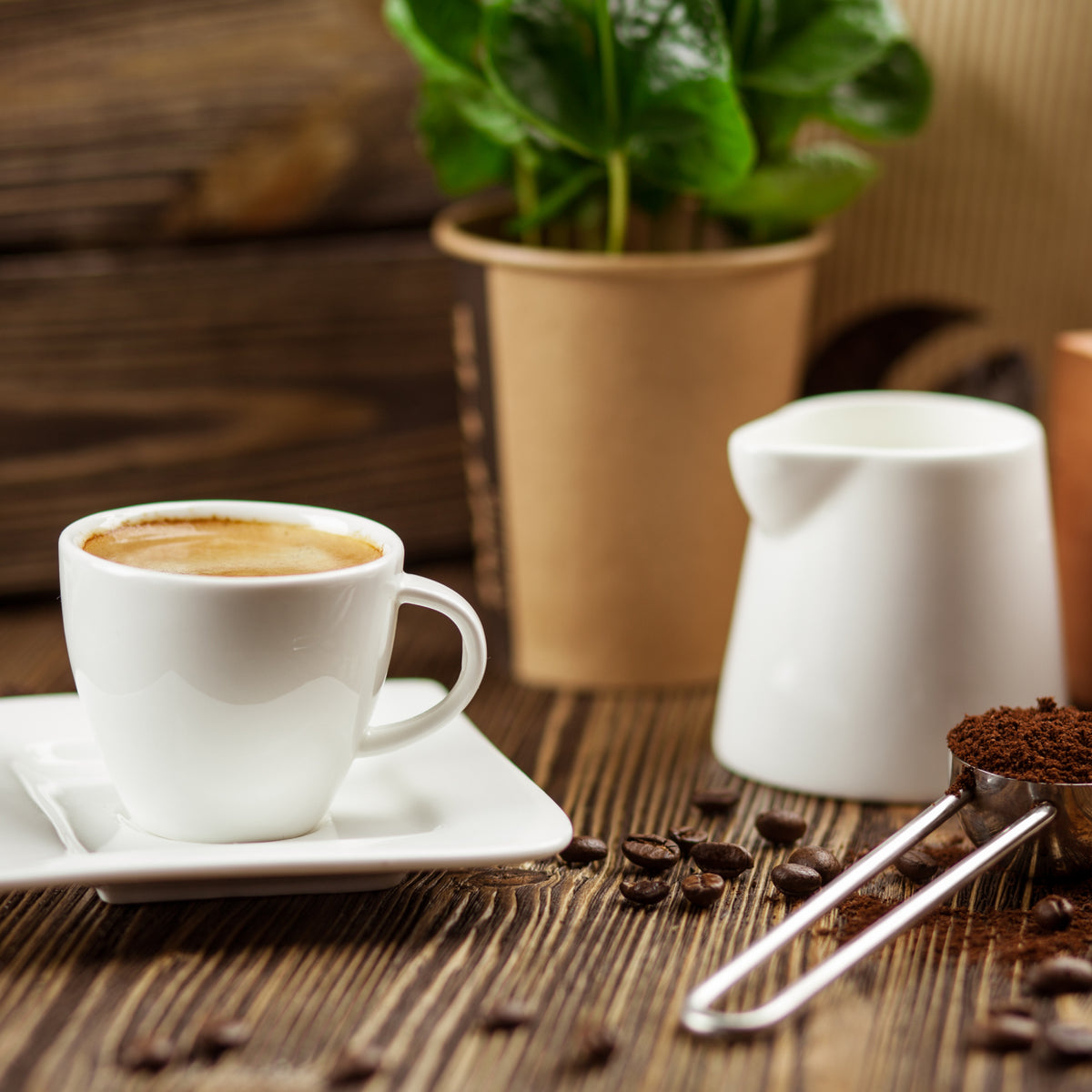 Better than Instant Coffee | Lifeboost Coffee