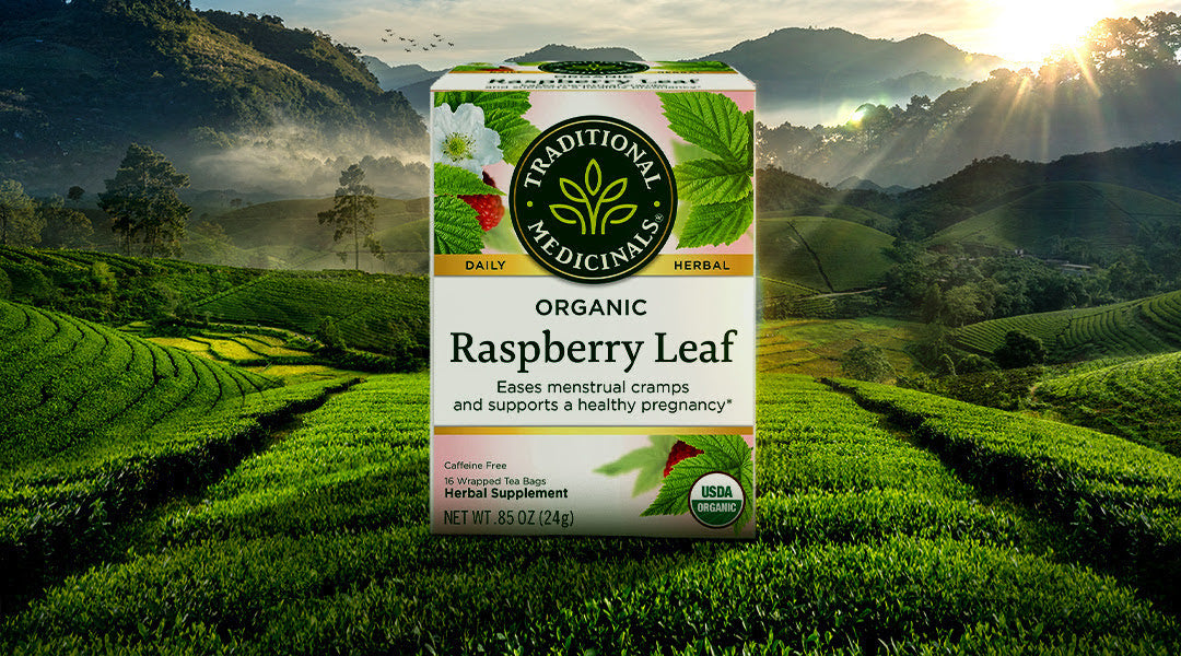 The Truth About Organic Raspberry Leaf Tea: Benefits, Safety and Uses ...
