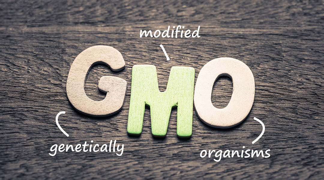 GMOs And Coffee, Is There A Cause For Concern? | Lifeboost Coffee