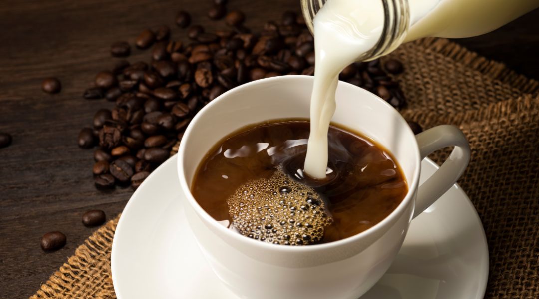 Milk In Your Coffee - Which Milks Best Enhance Your Brew | Lifeboost Coffee