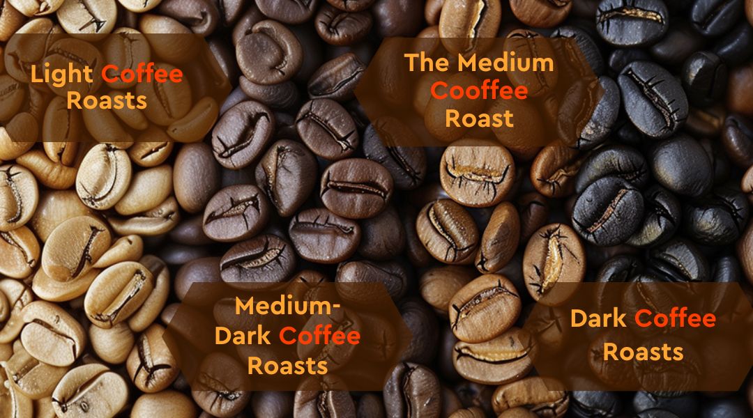 Unveiling the Four Key Coffee Roast Types | Lifeboost Coffee
