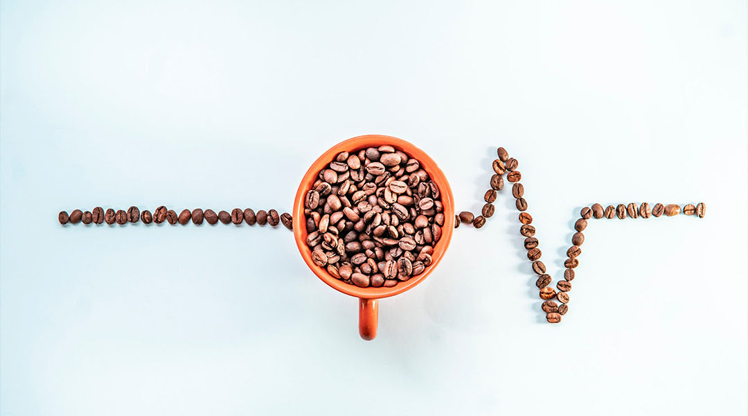 The Shelf Life of Coffee: How Long Does It Last? | Lifeboost Coffee