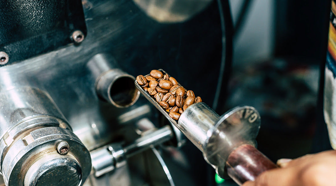 9 Top-Rated Home Coffee Roasters to try In 2023 | Lifeboost Coffee