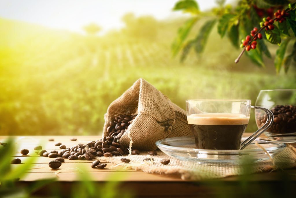 What Is Organic Coffee: Main Differences and Health Benefits ...