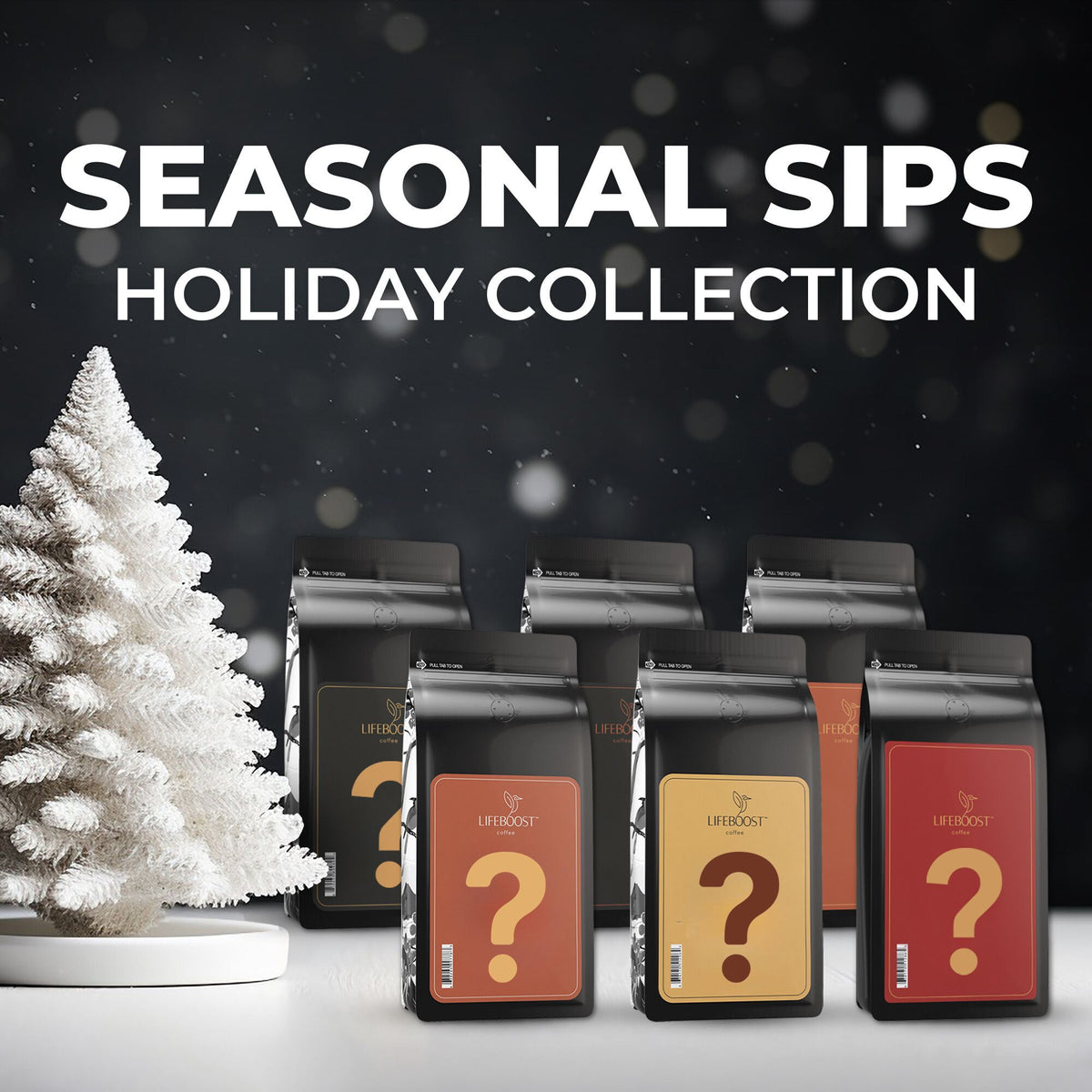Seasonal Sips Club | Lifeboost Coffee
