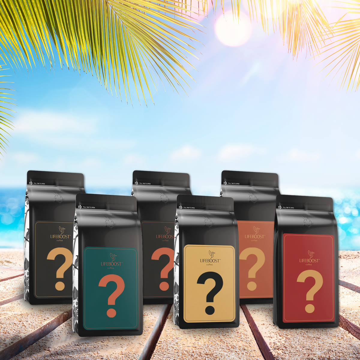 Seasonal Sips Club | Lifeboost Coffee