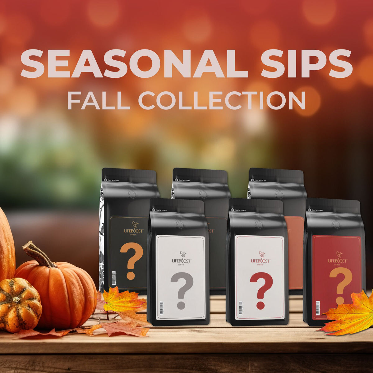 Seasonal Sips Club | Lifeboost Coffee