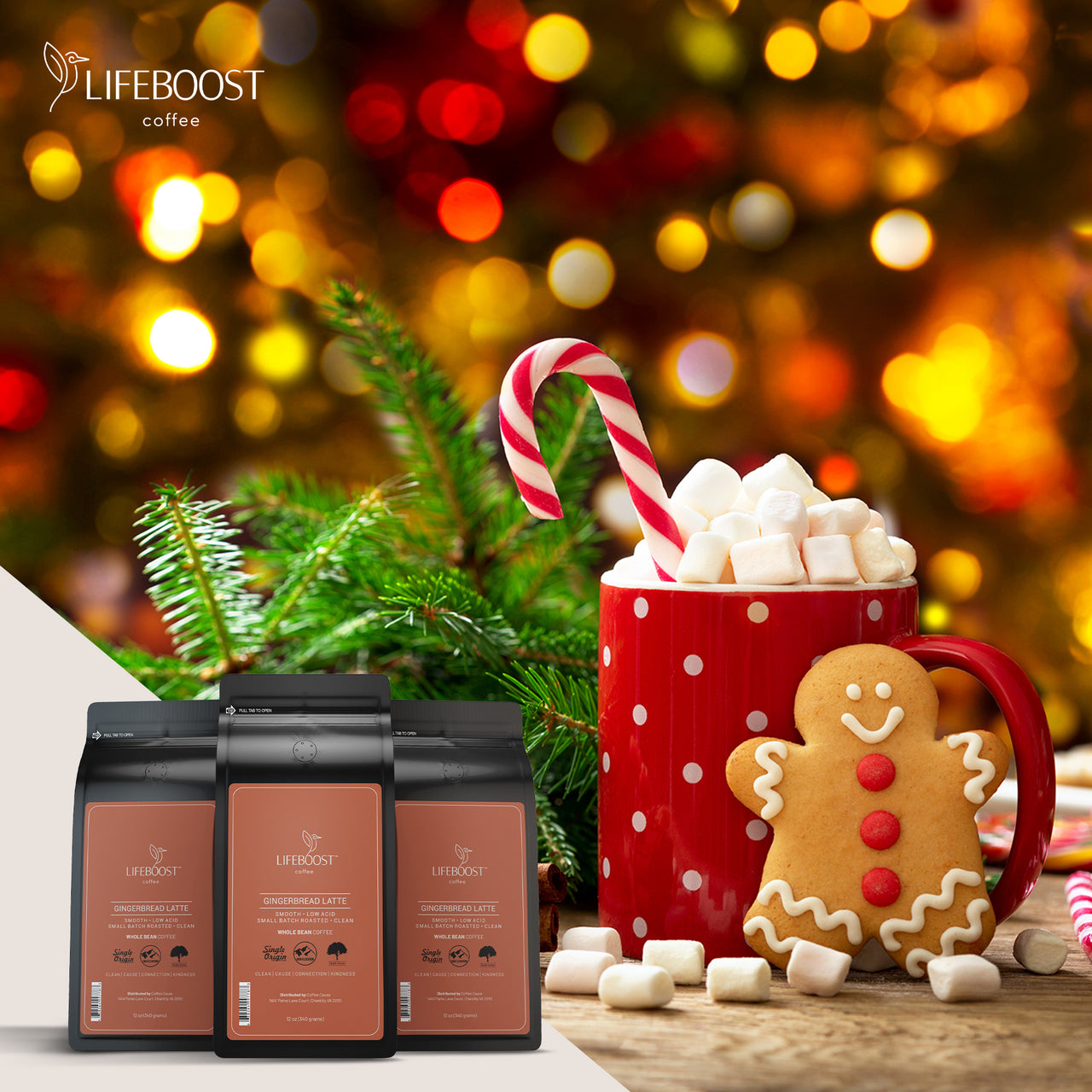 Gingerbread Latte - All-Natural, Flavor-Rich, Ethically Grown ...