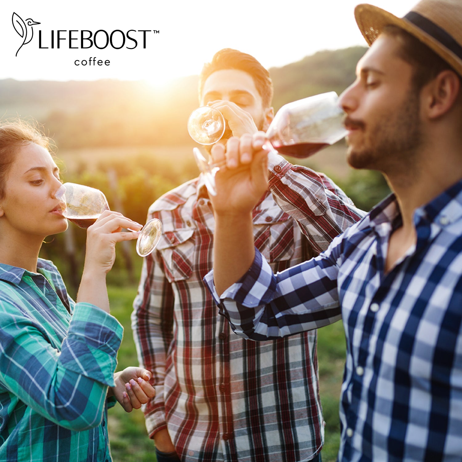 Wild Fermented Wine Infused Coffee | Lifeboost Coffee