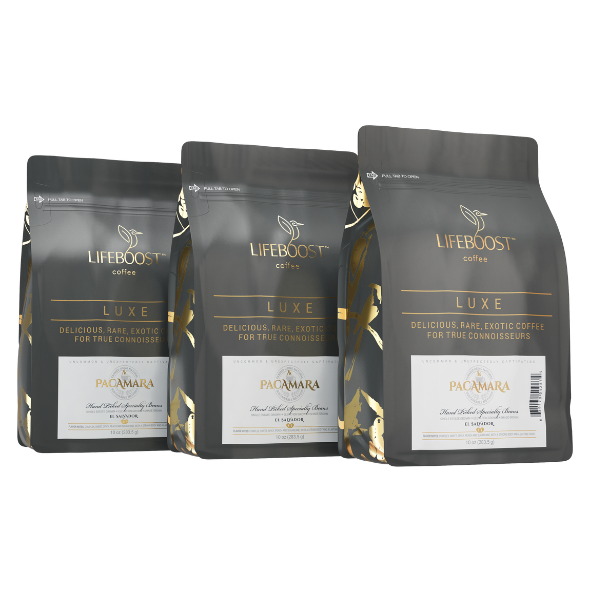Pacamara Coffee - Premium, Luxurious, Rare, Delight | Lifeboost Coffee
