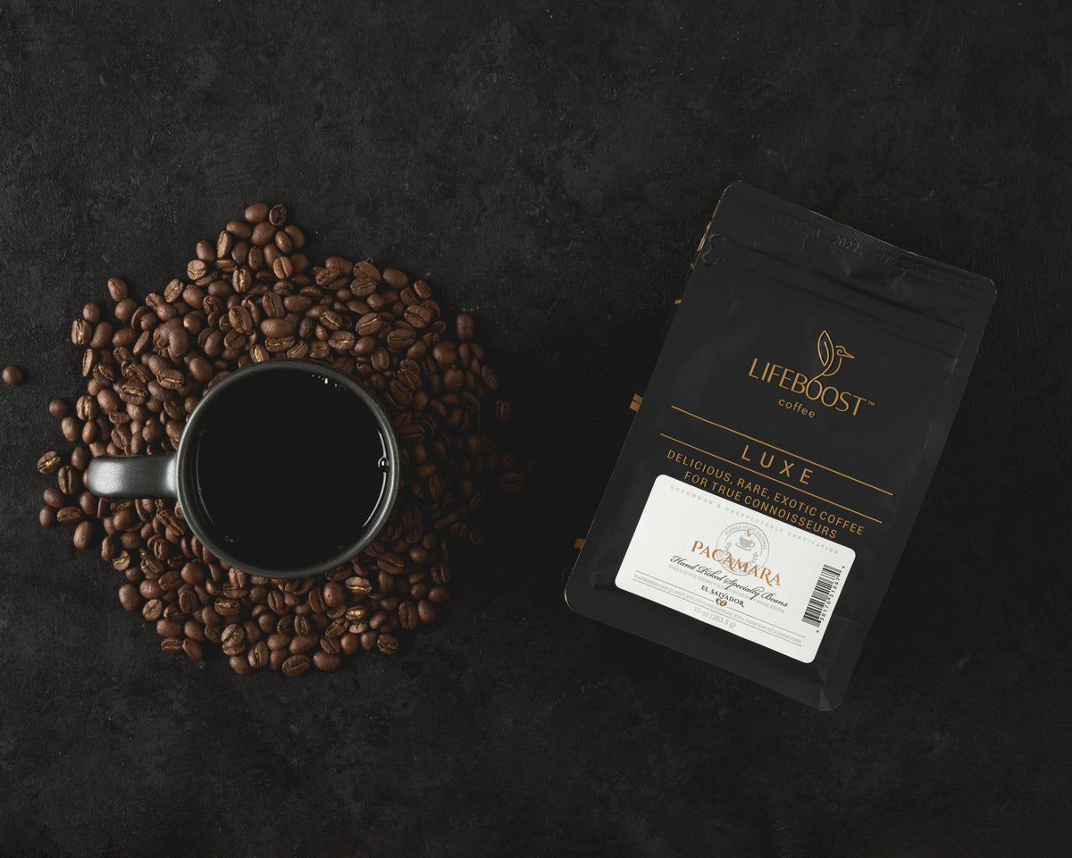 Pacamara Coffee - Premium, Luxurious, Rare, Delight | Lifeboost Coffee